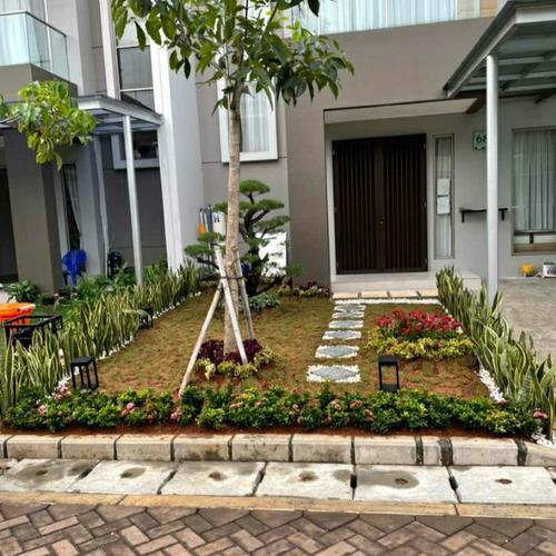 Jual contoh taman simple 4x3 rumput jepang+tanaman pager sensi Vera ...