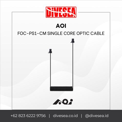 Jual AOI FOC-PS1-CM Fiber Optic Cable Single-Core with Straight Plugs ...