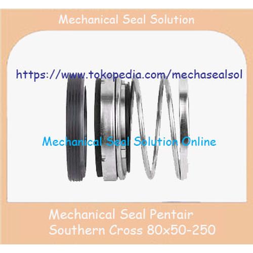 Jual Mechanical Seal Pentair Southern Cross 80x50-250 - Jakarta Barat ...