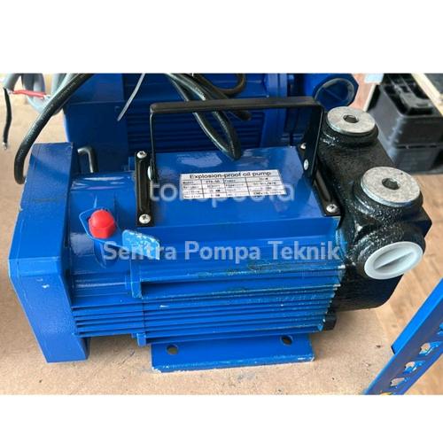 Jual Pompa explosion proof 90LPM Pompa Transfer BBM Bensin Solar Minyak ...