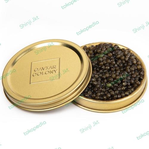 Jual Transmontanus Caviar 30gr - Kaviari Paris - Caviar Colony, Amur ...