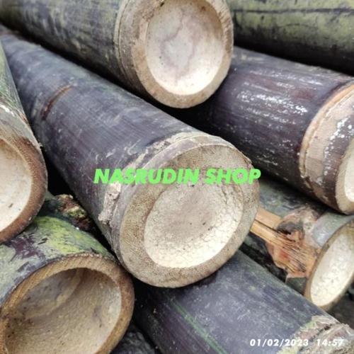 Jual POTONGAN BAMBU HITAM 1KG BESAR / BAMBU WULUNG UNTUK KERAJINAN ...