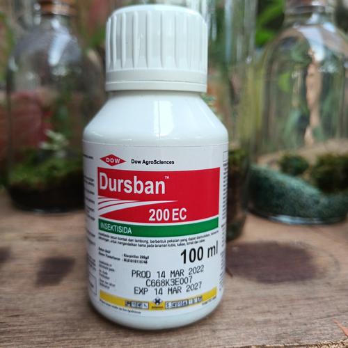 Jual Pembunuh Hama Serangga Tanaman Insektisida Dursban 100ml - Kota ...