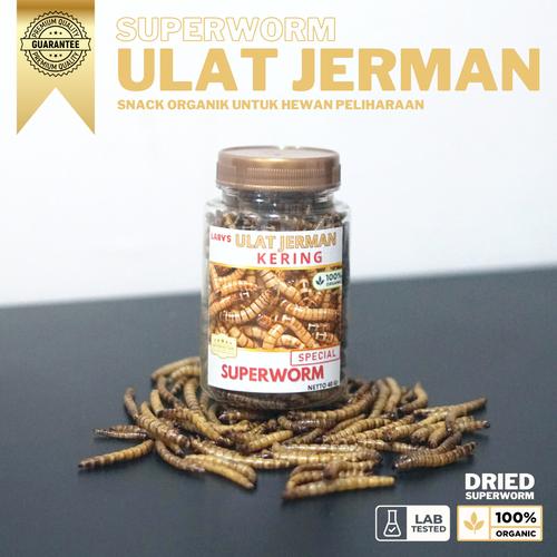 Jual Ulat Jerman Kering DRIED SUPERWORM Snack Sugar glider Hamster Tortoise - 40 Gr - Kota ...