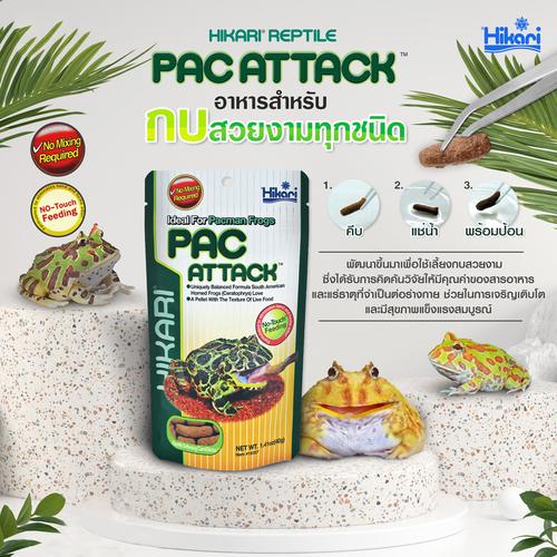 Jual Hikari Pac Attack 40gr Makanan Pelet Kodok Pacman Bullfrog Budget ...