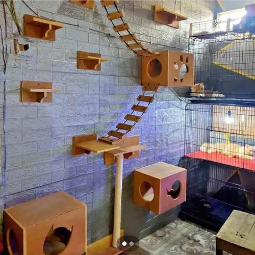 Jual Kandang dan tempat bermain Kucing unik - S - Kab. Mojokerto ...