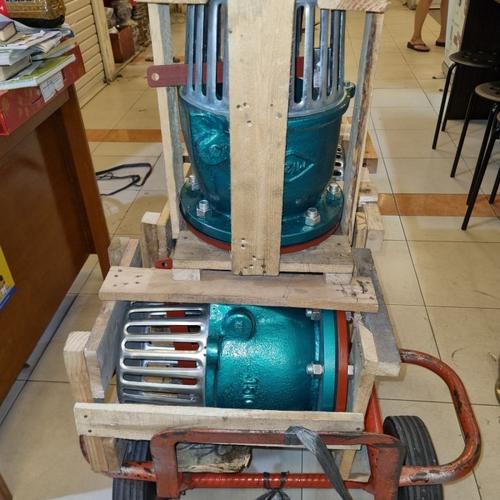 Jual Foot valve Mizu 10" inch Dn 250 jis 10k flange cast iron Foot Klep ...