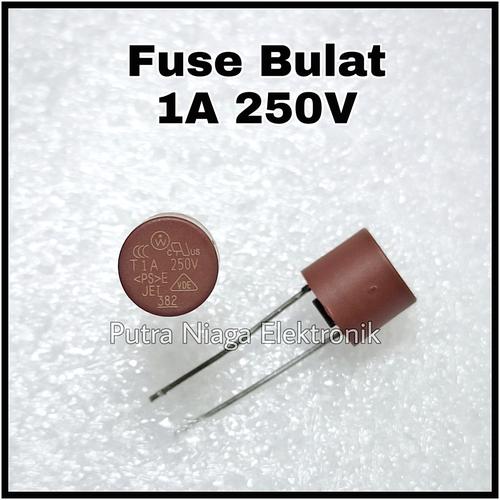 Jual Fuse Bulat 1A 250V Sikring Silinder Sekering PCB Board / T1A 250V ...