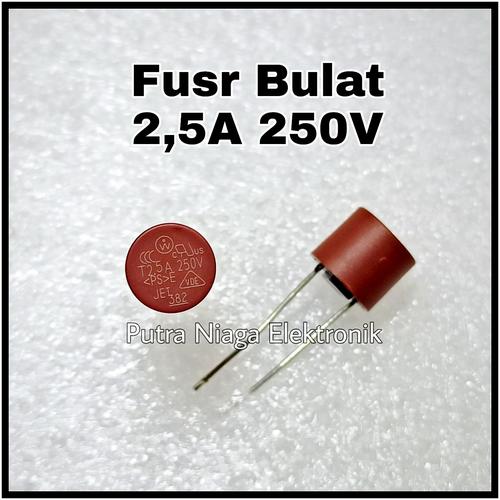 Jual Fuse Bulat 2,5A 250V Sikring Silinder Sekering PCB Board / T2 ...
