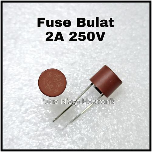 Jual Fuse Bulat 2A 250V Sikring Silinder Sekering PCB Board / T2A 250V ...