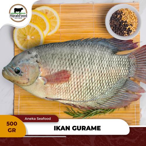 Jual Ikan Gurame | Gourami Fish Frozen (± 400-500 gr / ekor) - Kota ...