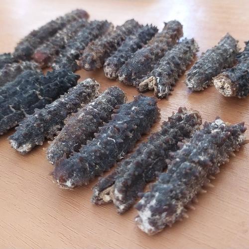 Jual Teripang Duri Kering Size 210pcs/kg - Kota Surabaya - bhineka ...