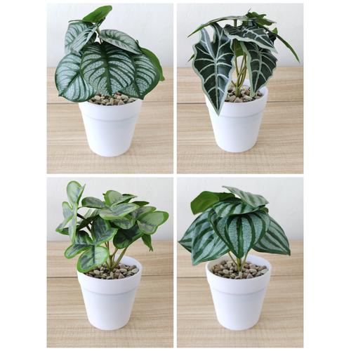 Jual TANAMAN ARTIFICIAL TANAMAN HIAS IMITASI DAUN SET POT WARNA PUTIH ...