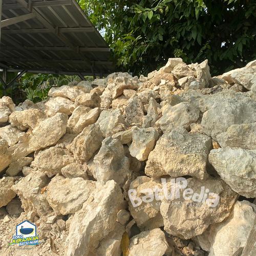 Jual Batu Karang Resapan Sumur, Taman, Lapangan, 1 Kubik Kualitas Super ...