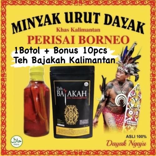 Jual Minyak Urut Dayak Asli Kalimantan - Kota Pontianak ... Jual Minyak Urut Dayak Asli Kalimantan - Kota Pontianak ...