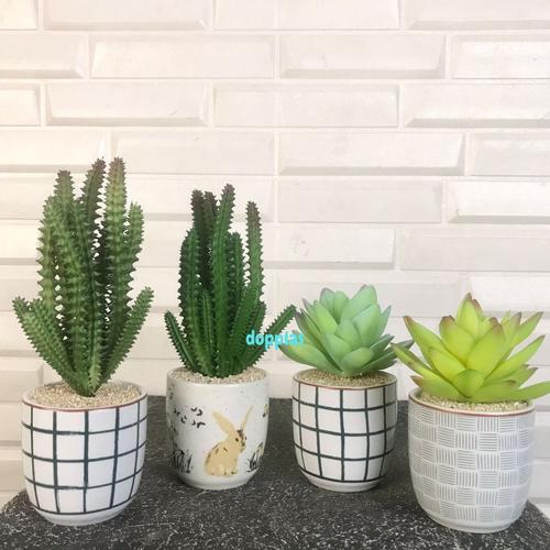 Jual Tanaman Artificial Kaktus & Sukulen Mini Pot Gelas Keramik Hiasan ...