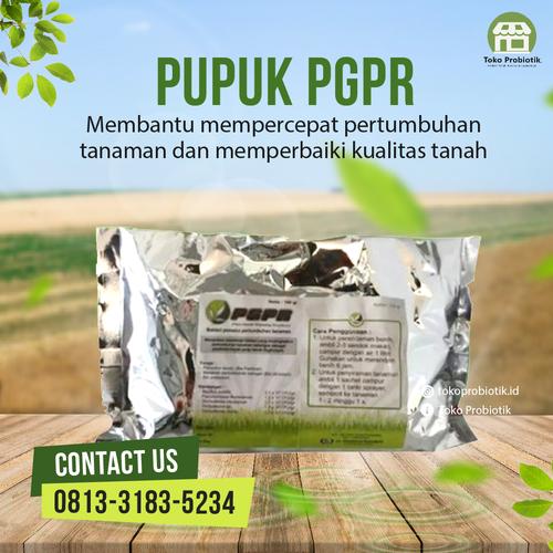 Jual Pemacu Pertumbuhan Tanaman PGPR 1 Kg - Kab. Karanganyar ...
