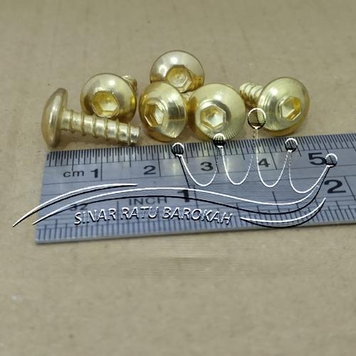 Jual BAUT CACING BODY 5X16 YAMAHA SKRUP SEKRUP 5 X 16 GOLD KUNCI L EMAS ...