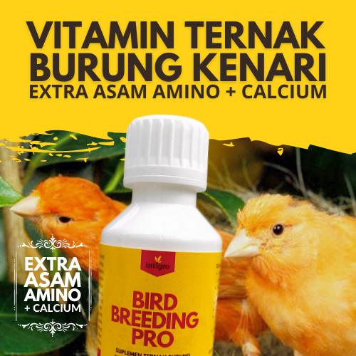 Jual Vitamin Ternak Burung Kenari / Vitamin Breeding Kenari / Obat ...