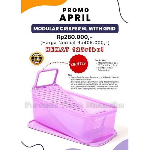 Jual TUPPERWARE MODULAR CRISPER 6L WITH GRID - TEMPAT BUAH DAN SAYURAN ...