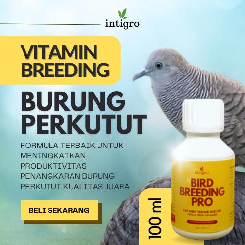 Jual Vitamin Breeding Perkutut / Obat Ternak Burung Perkutut Bangkok ...