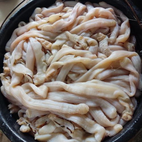 Jual Cacing Laut Wak Wak Super Fresh GRADE A Frozen Beku Seaworm - Kab ...