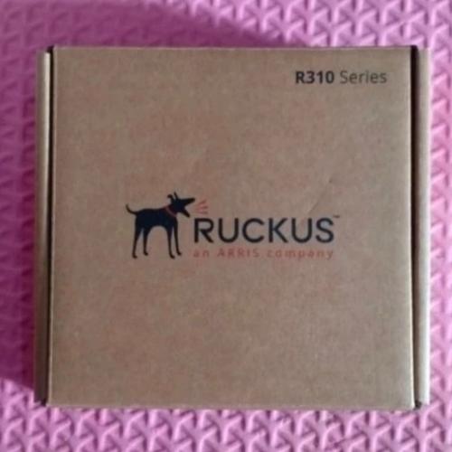 Jual Ruckus R310 - Ruckus AP R310, dual band 2.4 GHz dan 5.8 G ...