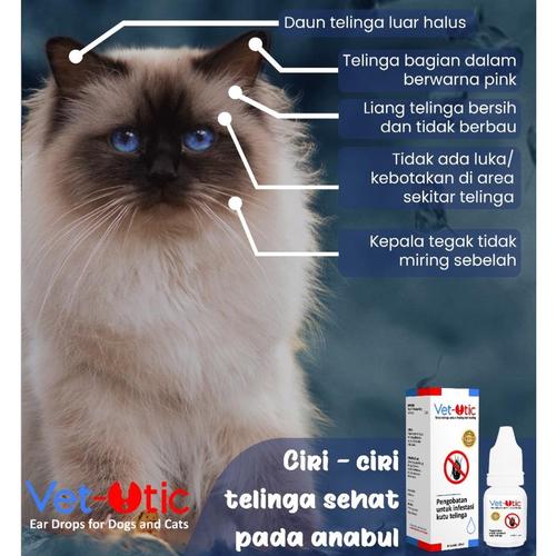 Jual Vet Otic vetotic Vet-Otic Obat Kutu Tetes Telinga 10ml & Ear Mites ...