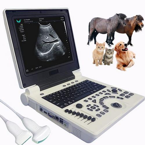 Jual Alat USG Hewan Ternak Portable Model Laptop Pemindai Kehamilan ...