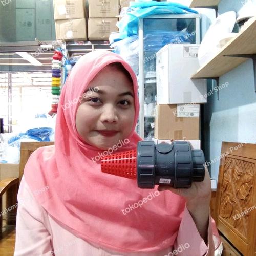 Jual Foot Valve Kolam 2in Astral / Check Valve Penampungan Kolam Renang ...