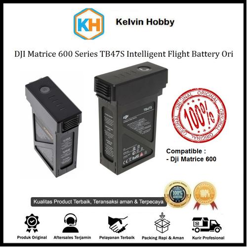 Jual DJI Matrice 600 Series TB47S Intelligent Flight Battery Original ...