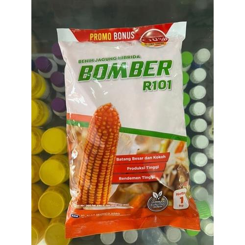 Jual Benih jagung hibrida jab69 01 sakti 1 kg Tahan Bulai Busuk Batang - BOMBER R101 1kg - Kab ...