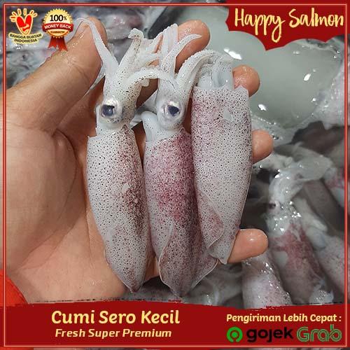 Jual Cumi Sero UTUH 500gr/Cumi Kecil Segar Seafood/Cumi Laut Fresh ...