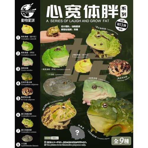 Jual ANIMAL PLANET FROG SERIES SET - CORNUTA B - Jakarta Barat ...