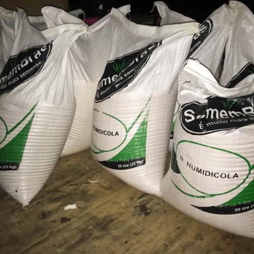 Jual 1 karung biji rumput brachiaria humidicola - 25kg rumput pakan ...