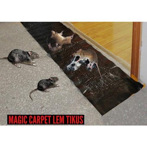 Jual Magic Carpet Lem Tikus Super Besar Ukuran 1,2 Meter Jumbo Ampuh ...