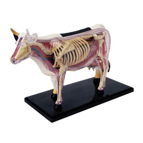 Jual Alat Peraga Model Anatomi Organ Biologi Hewan Sapi - Kab. Bogor ...