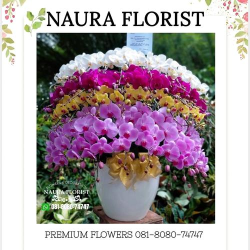 Jual Bunga anggrek/anggrek bulan/anggrek premium /rangkaian anggrek ...