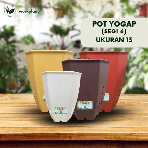 Promo Pot Yogap Segi 6 - Ukuran 13 Pot Bunga Tanaman Hias Premium Tebal ...