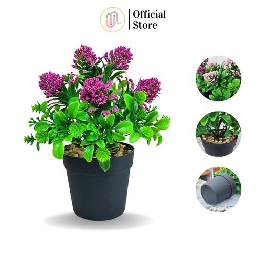 Jual Tanaman Hias Pot Bunga Plastik Pajangan Dekorasi Rumah Indoor ...