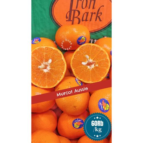 Jual buah jeruk honey murcot ponkan taiwan hdl rrt argentina Australia ...