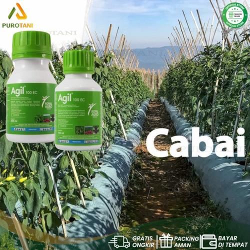 Jual Herbisida Obat Rumput AGIL 250 ML 100ec 250ml 100 EC - Kab ...