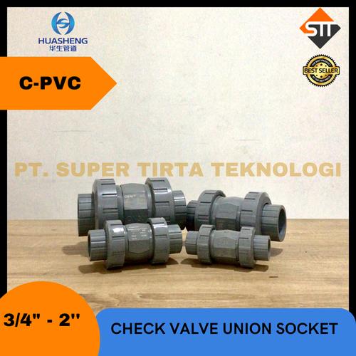 Jual C-PVC Check Valve Union Socket Sch.80 PN10 - Kab. Tangerang - STT ...