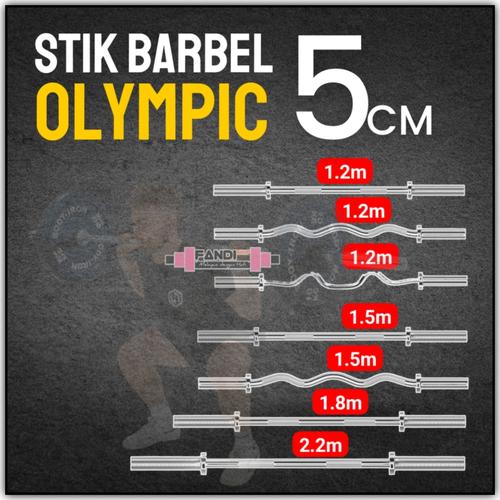 Jual Stik Barbel Olympic 5cm 120cm 150cm 180cm 220cm EZ Curl Bar 120cm ...