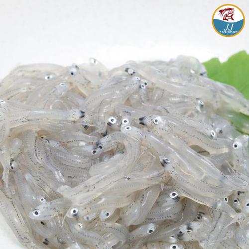 Jual Ikan Teri Basah Segar Fresh - Harta Karun MPASI - 250 Gram - Kota ...