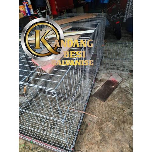 Jual kandang ayam besi galvanis 2 pintu P 150 cm L 80 cm T 80cm anti ...