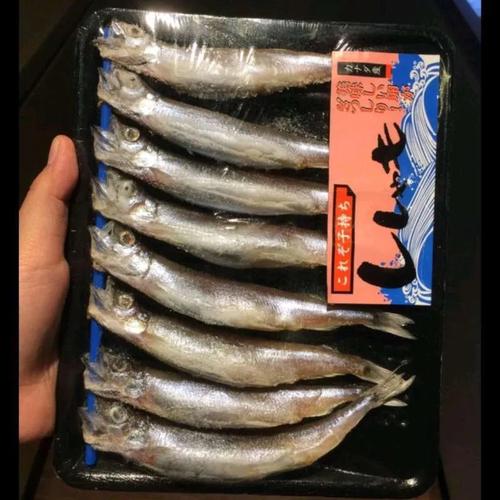 Jual Ikan Shisamo Capelin/ Ikan Telor Jepang Premium / Ikan Cipung ...