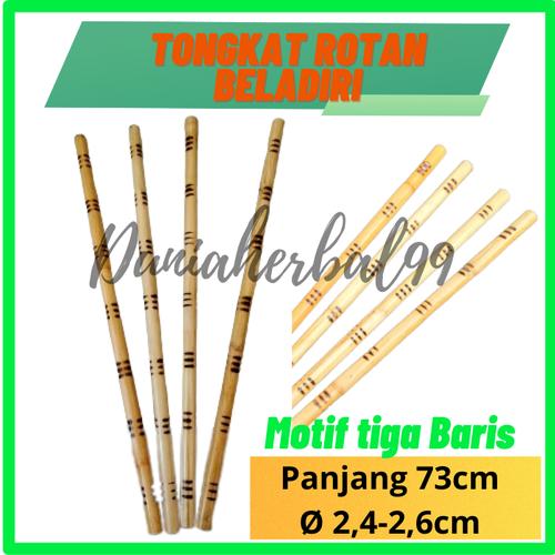 Jual Tongkat Rotan Arnis Kali Eskrima Fighting Silat Stick Rotan Stick ...