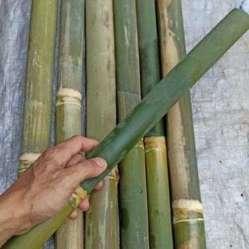 Jual obor bambu bahan obor bambu -+40cm obor tradisional - Kab. Bogor ...