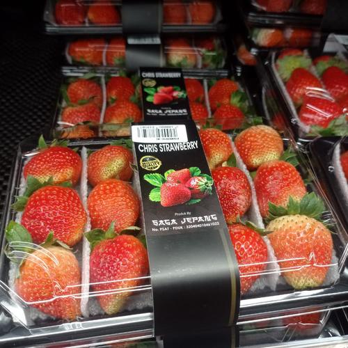 Jual Strawberry fresh bibit jepang |Buah strawberry Duluxe saga jepang ...